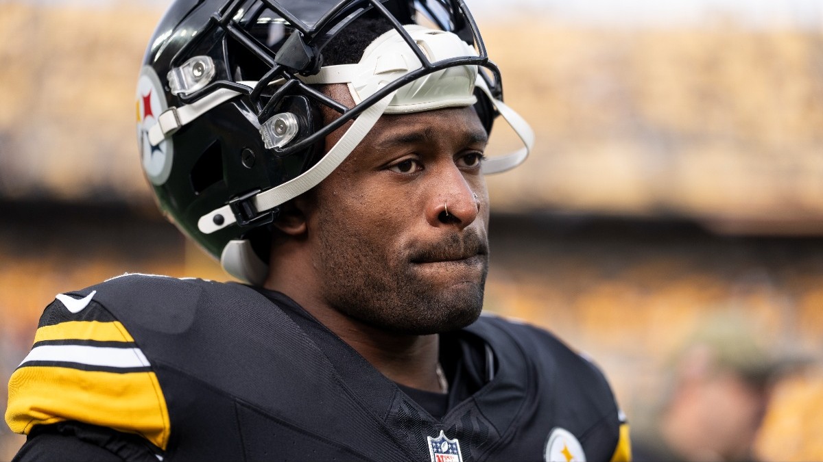 DK Metcalf Punches Lions Fan During Sideline Altercation Then Two Game ...